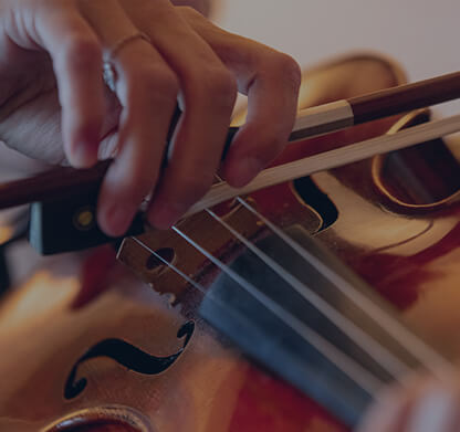 String instruments - Lenzner Saitenmanufaktur